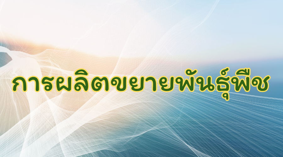 กองขยายพันธุ์พืช กรมส่งเสริมการเกษตร – พืชพันธุ์ดีต้องที่ศูนย์ขยายพันธ์ ...